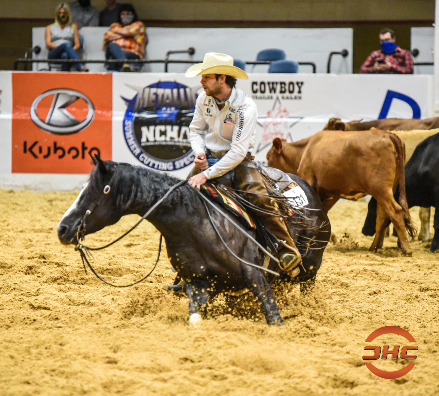 BadBoonARising | CCRCHA STALLION AUCTION