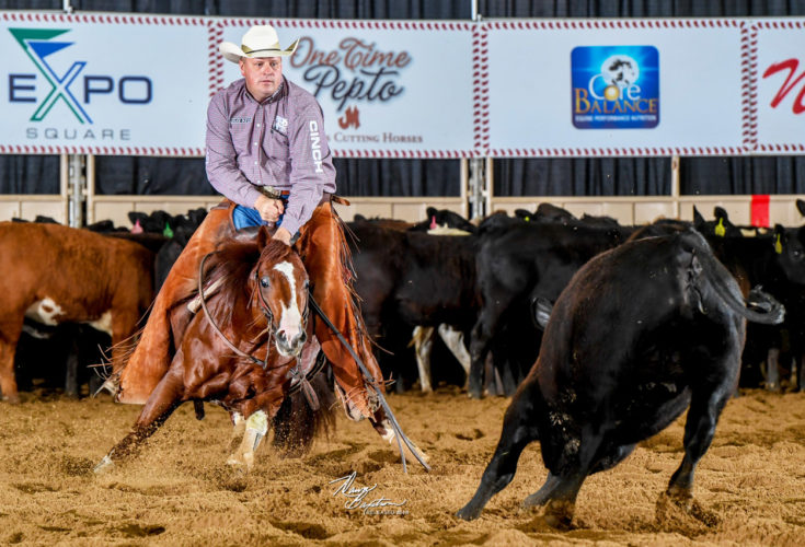 Dual Reyish | CCRCHA STALLION AUCTION