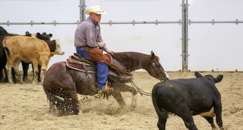 Dual Reyish | CCRCHA STALLION AUCTION