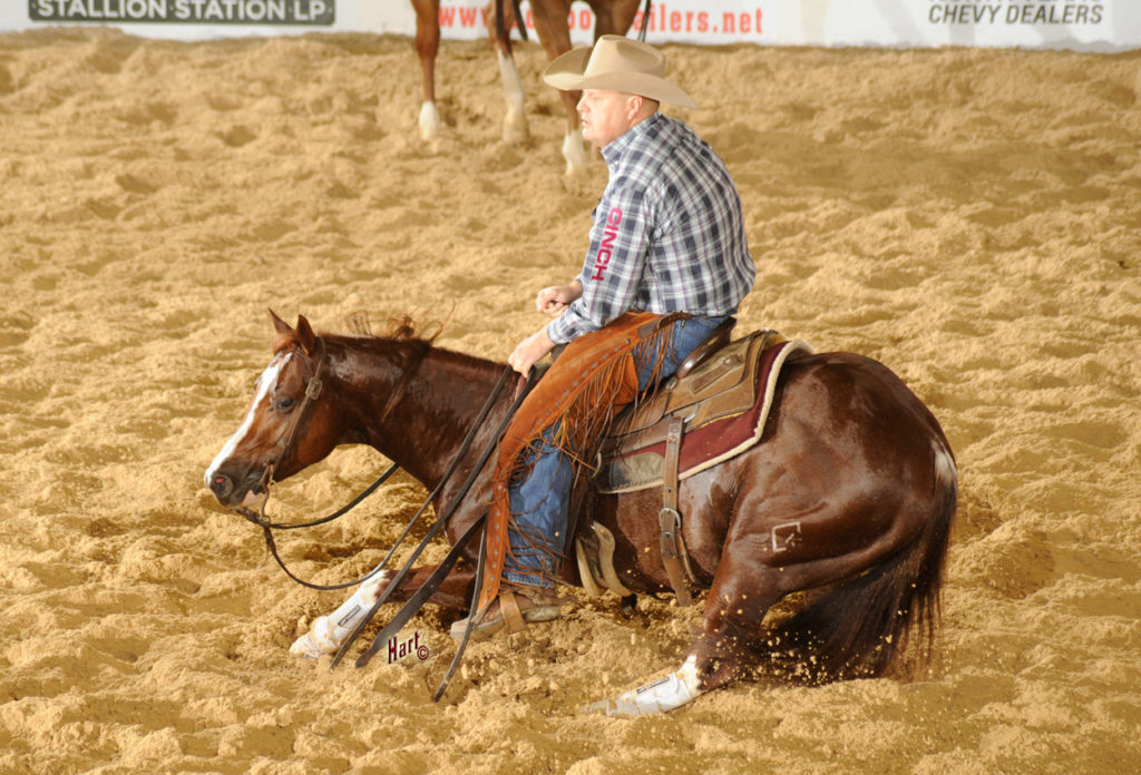 Dual Reyish | CCRCHA STALLION AUCTION